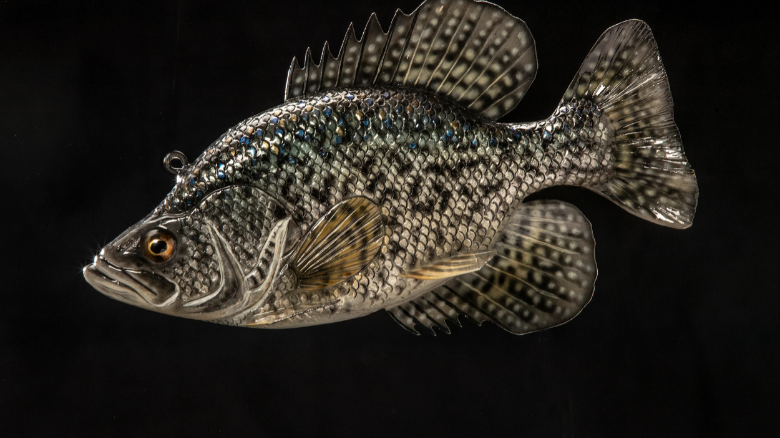 This Wood Carver Is Making the Most Realistic (and Deadly) Fish Decoys ...